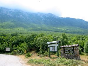 Ivana Dukčević: Ohridsko jezero, makedonski biser | Sito&Rešeto